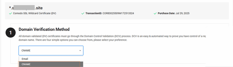 How to Install a Wildcard SSL Certificate on Windows Server 2025 (IIS)