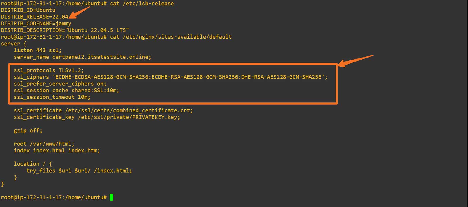 What Is the TLS Protocol Session Renegotiation Security Vulnerability & How Do You Fix It?