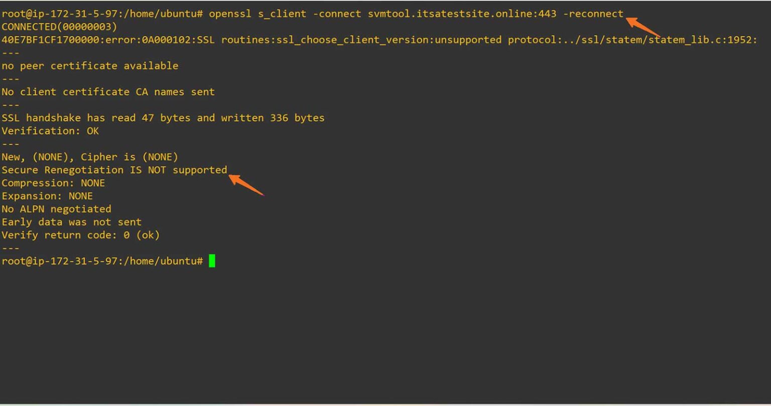 What Is the TLS Protocol Session Renegotiation Security Vulnerability & How Do You Fix It?