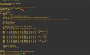 What Is the TLS Protocol Session Renegotiation Security Vulnerability ...
